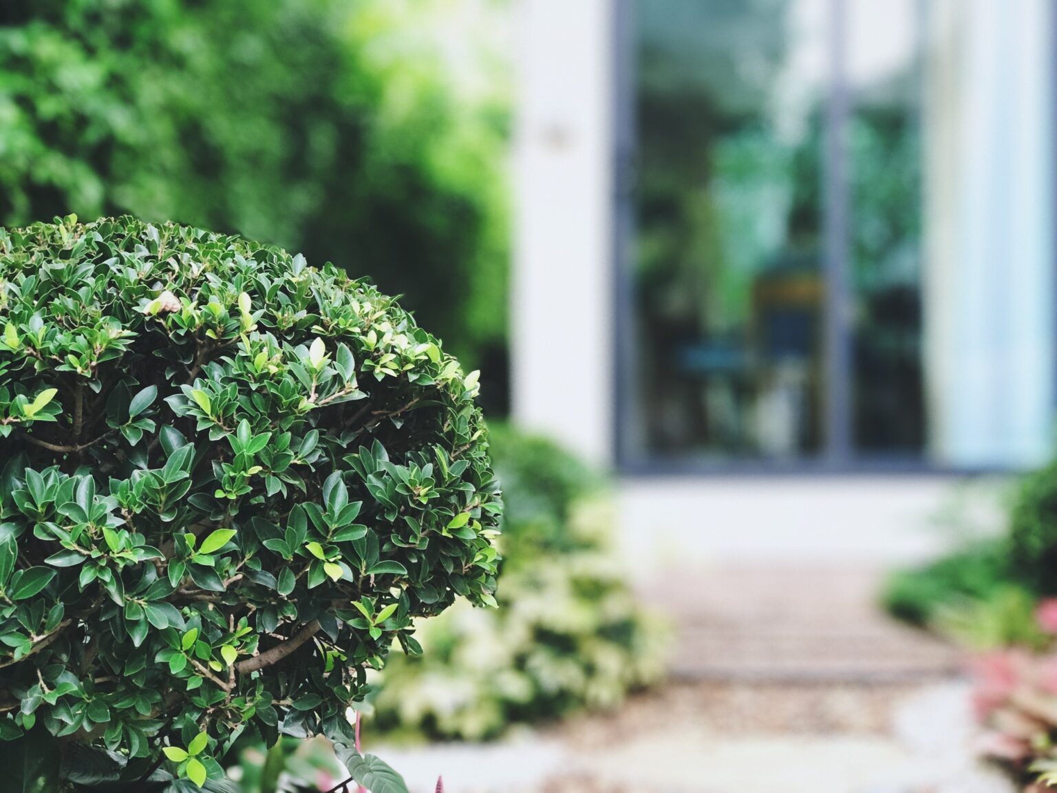Are Garden Trees A Safety Hazard? 5 Telltale Signs to Look Out For