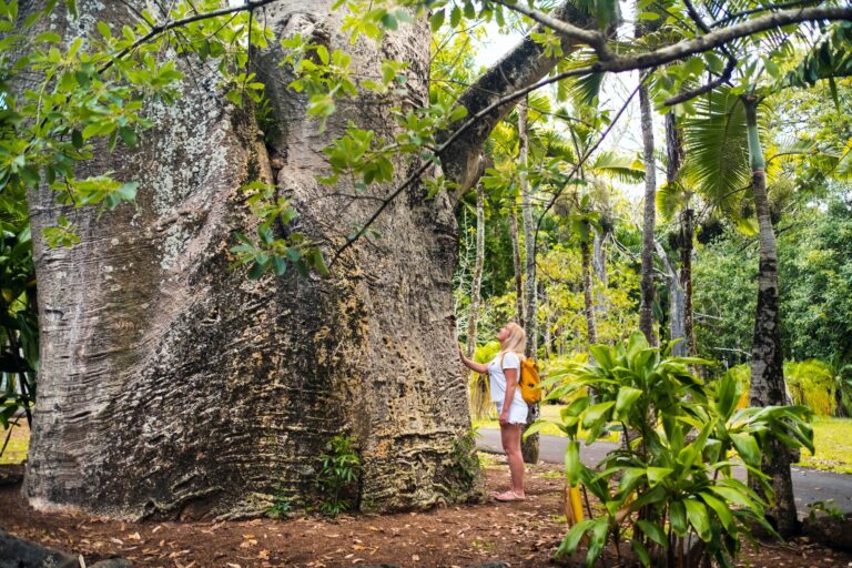 Top 10 Species of Exotic Trees Around The World