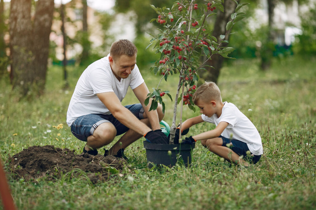 Planting Trees The Right Way: 7 Simple Steps